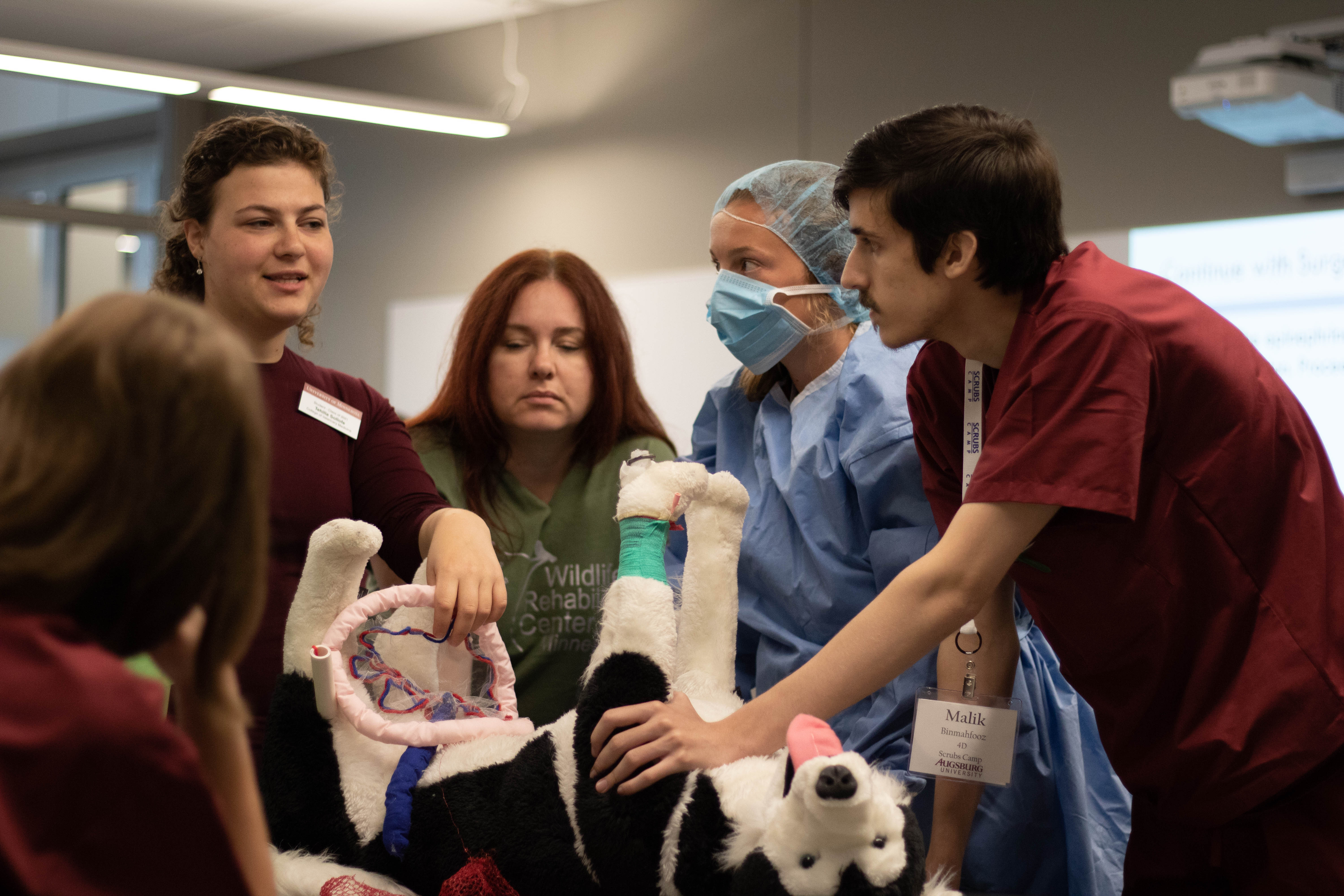 HealthForce Minnesota - For Students - Scrubs Camp Registration